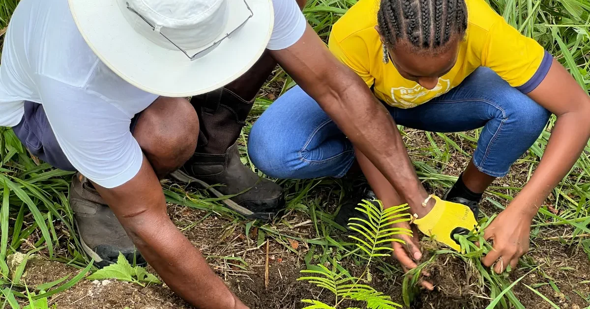 Growing a Greener Future at Revival Primary School - Hedonism II Foundation